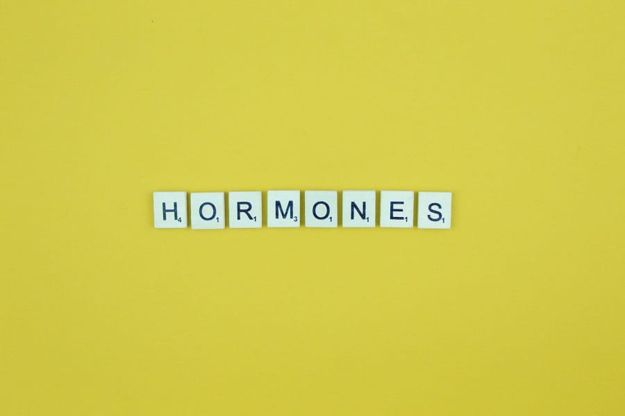 Guide To Your Body’s Hormones - Health Life Guru