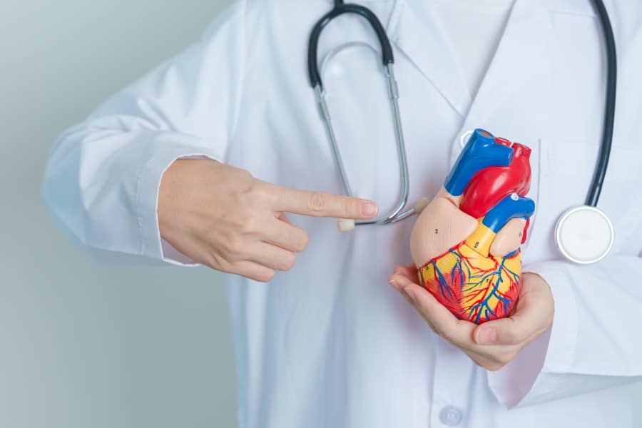 Understanding Cardiovascular-Kidney-Metabolic Syndrome - Health Life Guru